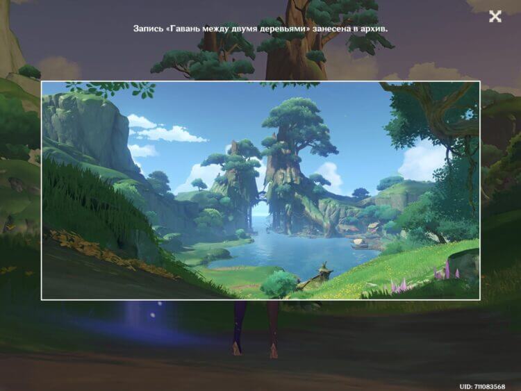 Geography of Sumeru in Genshin Impact: all viewpoints [where to find]