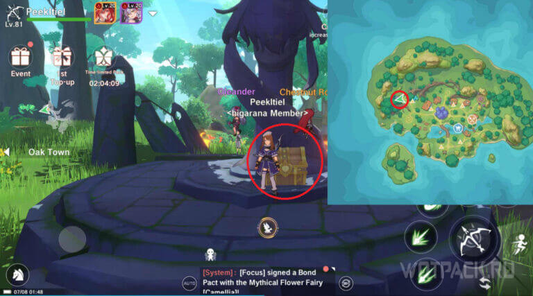 Todos os baús em The Legend of Neverland - onde encontrar [mapa]