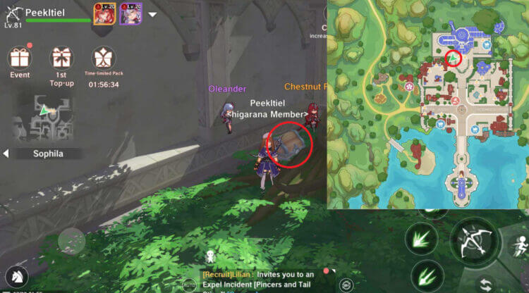 All chests in The Legend of Neverland - where to find [map]