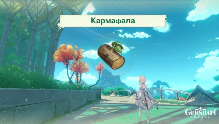 Karmafala wood in Genshin Impact: where to find wood in Sumeru