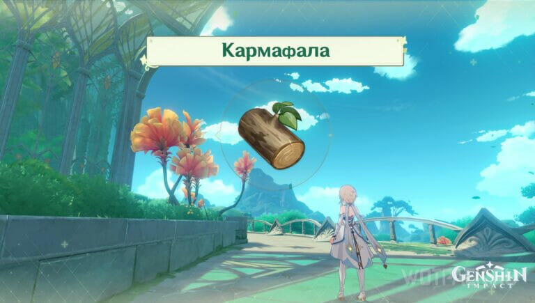 Karmafala wood in Genshin Impact: where to find wood in Sumeru