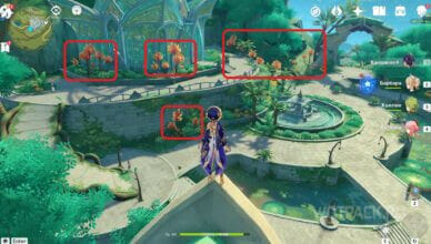 Karmafala wood in Genshin Impact: where to find wood in Sumeru