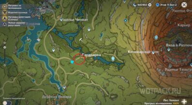 Karmafala wood in Genshin Impact: where to find wood in Sumeru