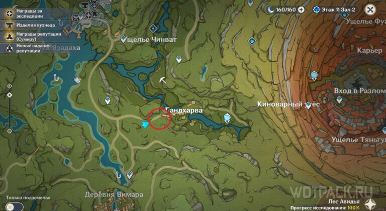 Karmafala wood in Genshin Impact: where to find wood in Sumeru