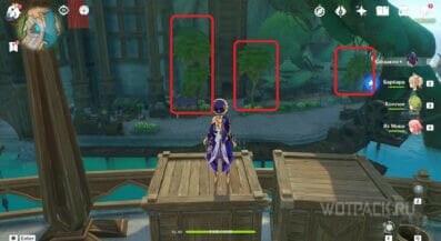 Karmafala wood in Genshin Impact: where to find wood in Sumeru