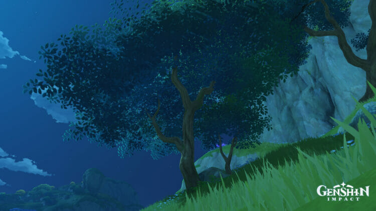 Adhigama wood in Genshin Impact: where to find in Sumeru [guide]