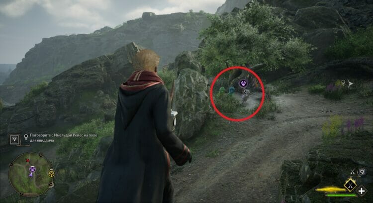 Fwooper in Hogwarts Legacy: how to find and get a fwooper feather