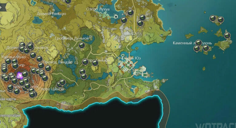 Qingxin in Genshin Impact: where to find a flower and buy