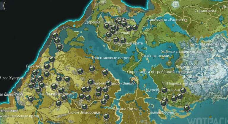 Qingxin in Genshin Impact: where to find a flower and buy