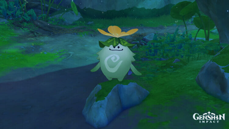 Aramani in Genshin Impact: where to find the Rukkhashava Mushroom Trader