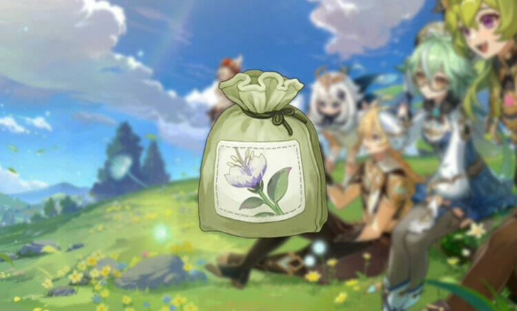 Anemone from Collea in Genshin Impact: why you need it and how to get it