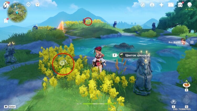 Qingxin in Genshin Impact: where to find a flower and buy
