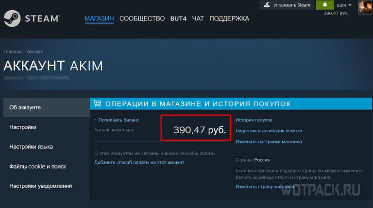 How to buy a game on Steam in Russia in 2023