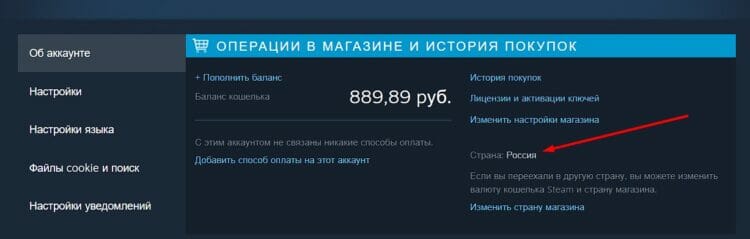 How to buy a game on Steam in Russia in 2024