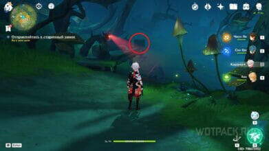 Curse of Petrification in Genshin Impact: Použijte Stream Projector