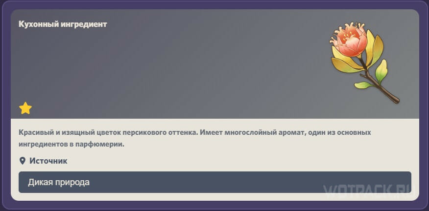 Markot in Genshin Impact: wo zu finden und zu kaufen