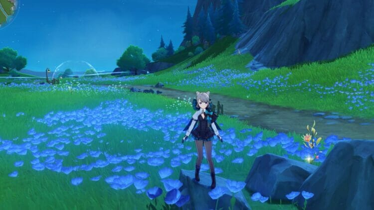 Markot en Genshin Impact: dónde encontrar y comprar