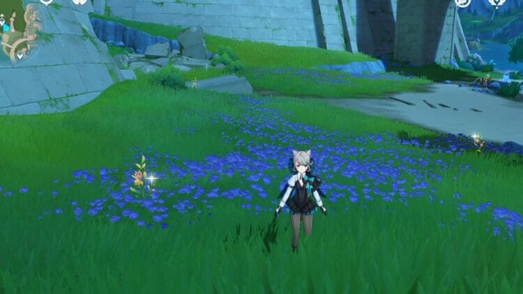 Markot in Genshin Impact: where to find and buy