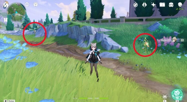 Markot en Genshin Impact: dónde encontrar y comprar