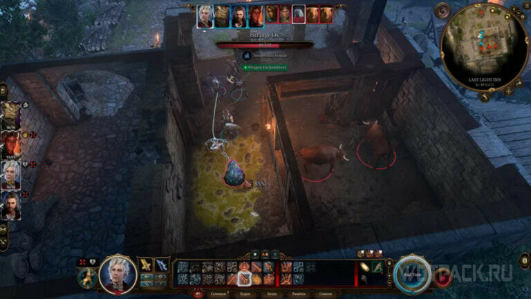 Strange ox in Baldur's Gate 3: what to do with it and whether to kill it