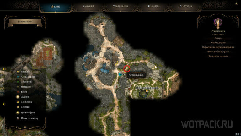 Strange ox in Baldur's Gate 3: what to do with it and whether to kill it