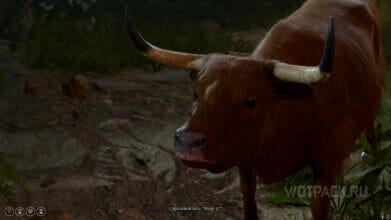 Strange ox in Baldur's Gate 3: what to do with it and whether to kill it