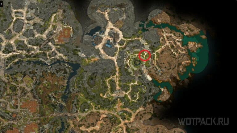 Salva al druida en Baldur's Gate 3: cómo encontrar y salvar a Khalsin