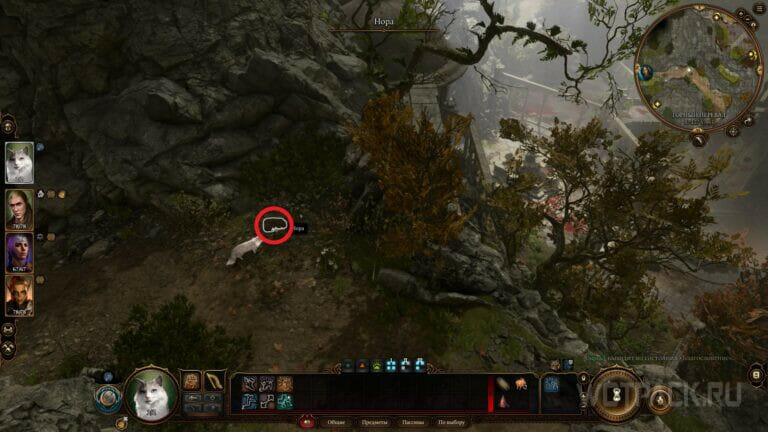 Dror Ragzlin in Baldur's Gate 3: how to kill and what the key is for