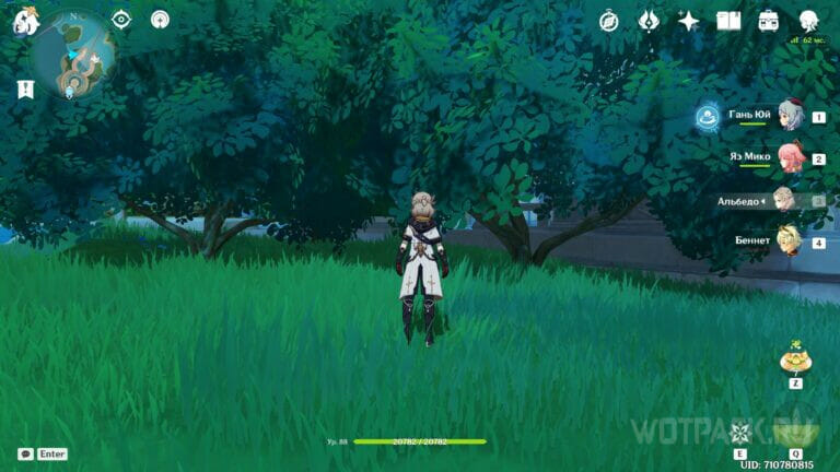 Linden tree in Genshin Impact: where to find it in Fontaine