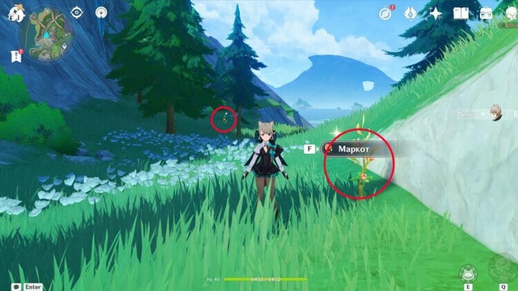 Markot en Genshin Impact: dónde encontrar y comprar