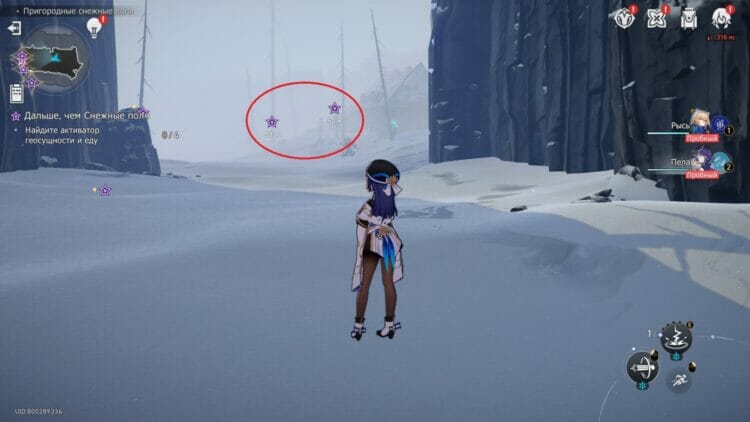 Further than the Snowy Fields in Honkai Star Rail: how to complete the ...