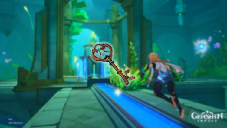 Special key in Genshin Impact: where to find it and why you need it