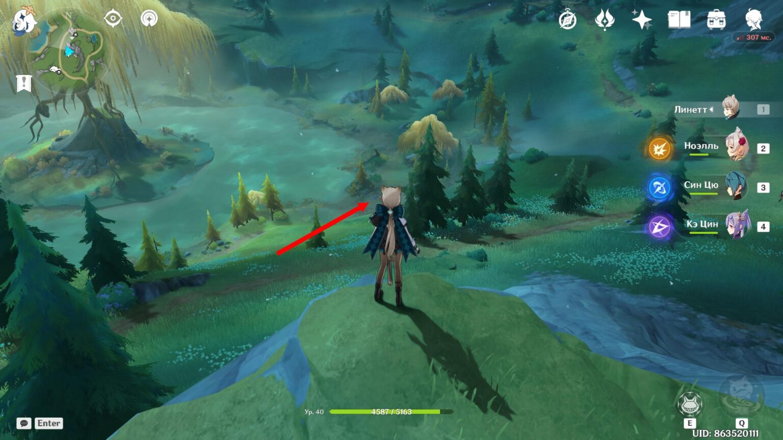 Erinyes Forest in Genshin Impact: how to solve all the riddles