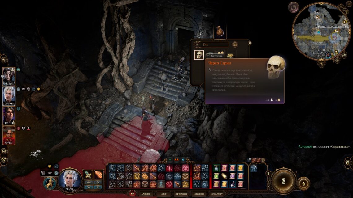 Saryn's skeleton in Baldur's Gate 3: what to insert and where to find ...