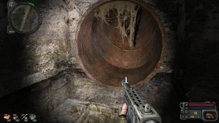 Oasis in STALKER Call of Pripyat: where to find the Heart of Oasis