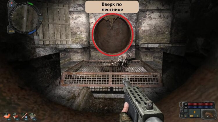 Oasis in STALKER Call of Pripyat: where to find the Heart of Oasis
