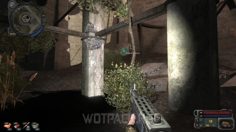 Oasis in STALKER Call of Pripyat: where to find the Heart of Oasis