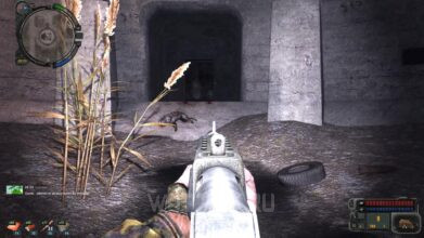 Oasis in STALKER Call of Pripyat: where to find the Heart of Oasis