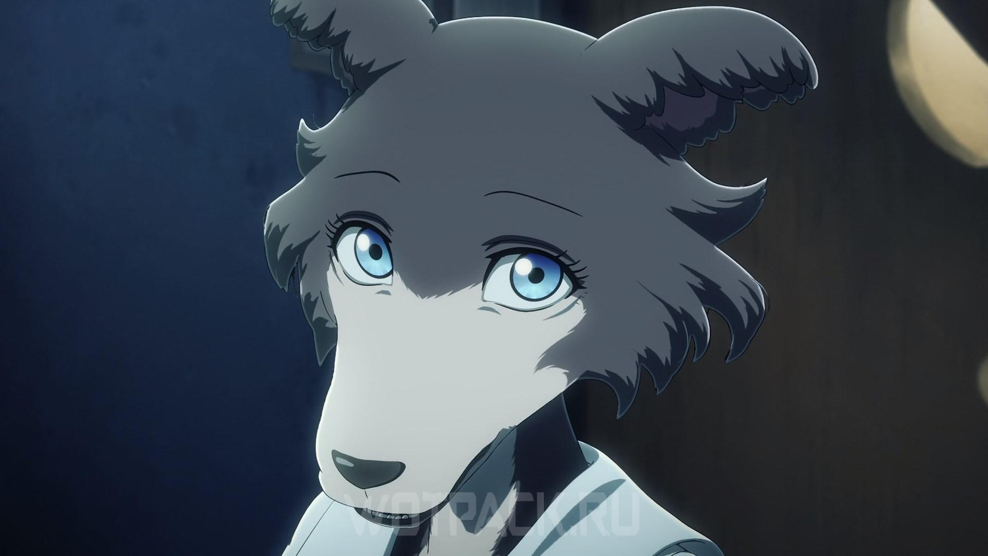 Beastars season 3: release date of all episodes