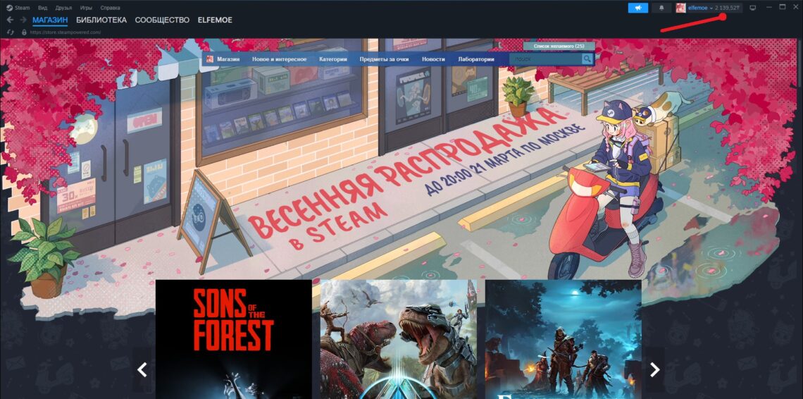 2026 年俄罗斯如何充值 Steam：工作方法