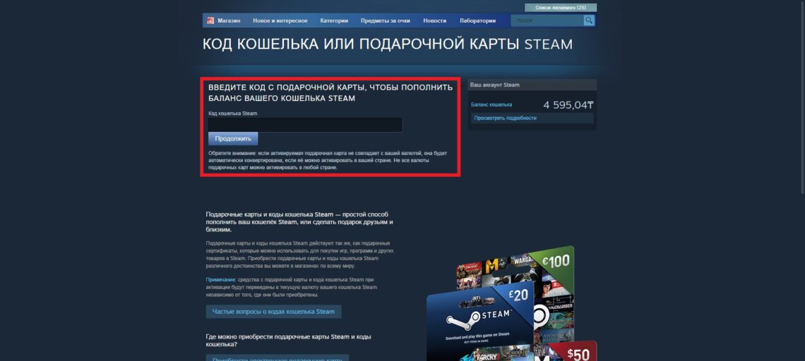 2025 年俄罗斯如何充值 Steam：工作方法