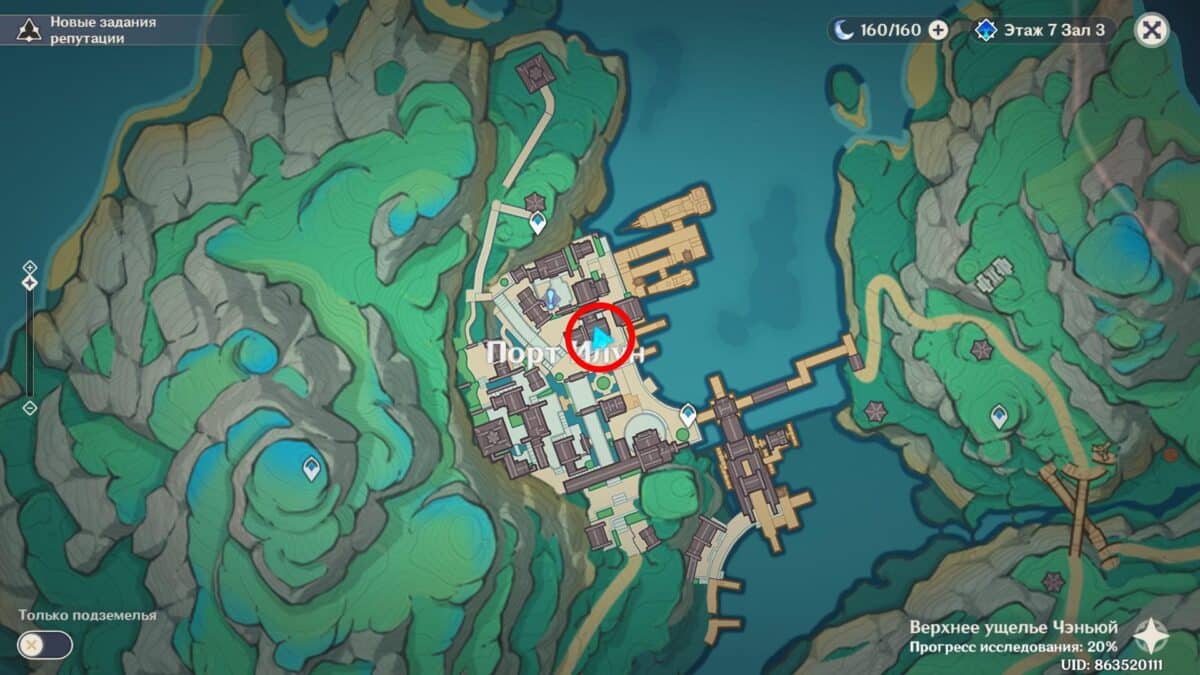 Li Yue's curiosities in Genshin Impact: where to find and buy