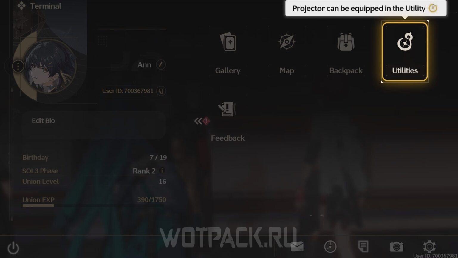 Wuthering Waves Projector: How to Use for Projection