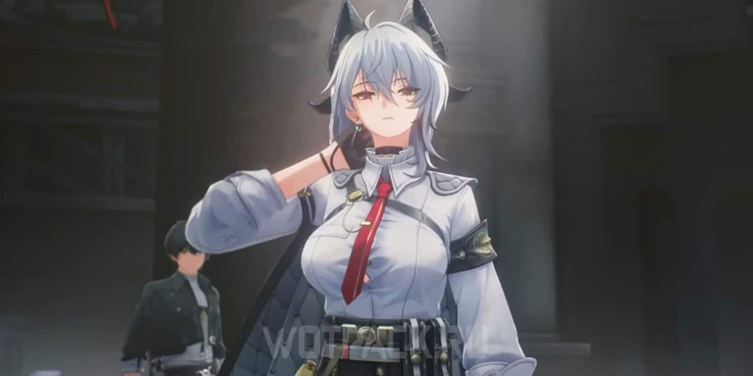 Wuthering Waves character tier list: top best heroes