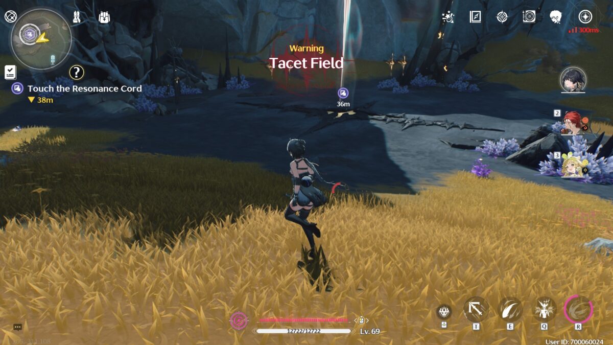 Tacet Field in Wuthering Waves: how to open and pass