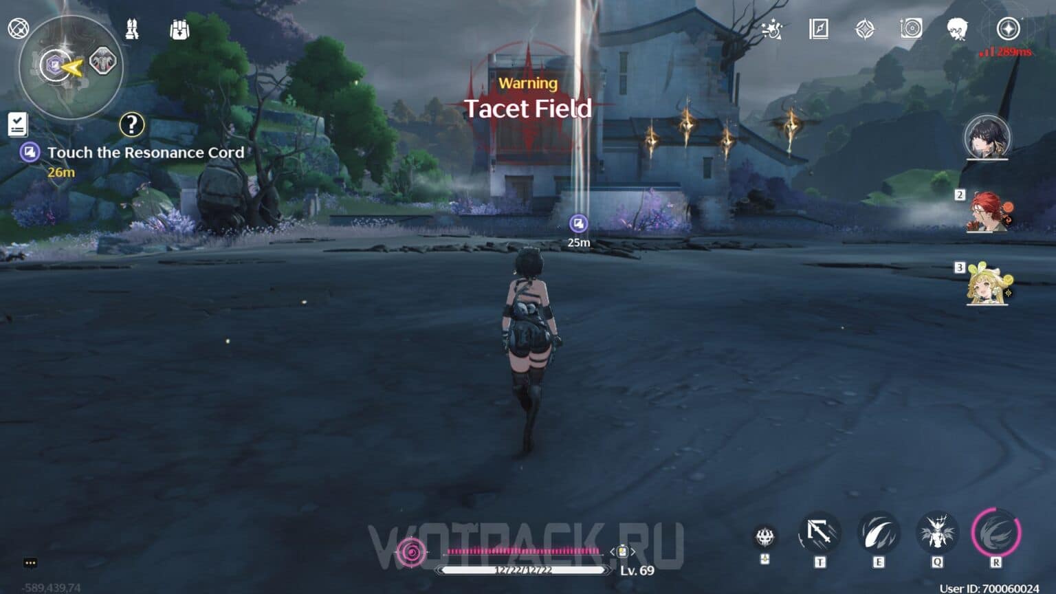 Tacet Field in Wuthering Waves: how to open and pass