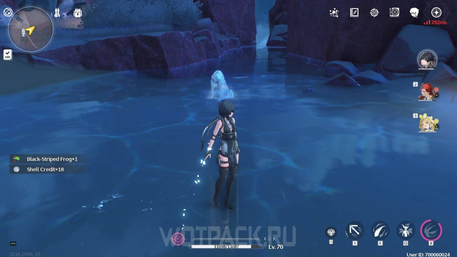 Frostbug in Wuthering Waves: where to find frost bugs