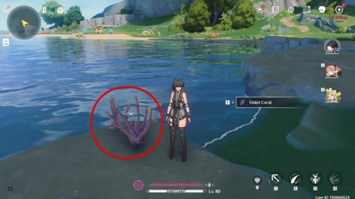 Coral Violeta en Wuthering Waves: dónde encontrar coral morado