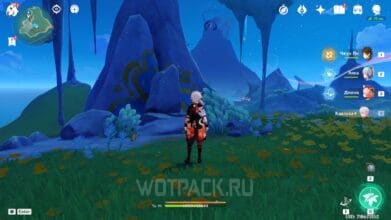 Shiny Shell in Genshin Impact: What is it for and where to find it