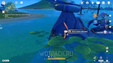 Shiny Shell in Genshin Impact: What is it for and where to find it